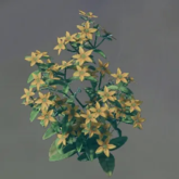 Complete List of All Enshrouded Seedlings and Crafting Recipes - ESO-UI ...