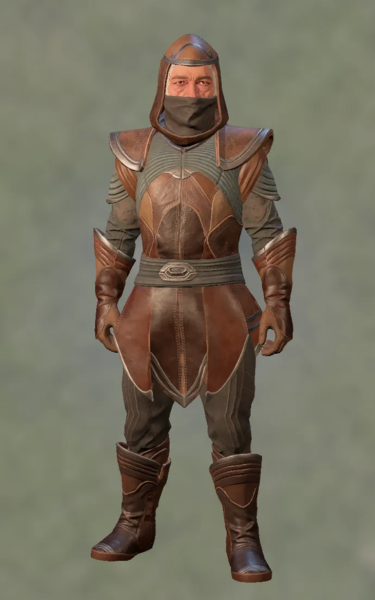 File:Enshrouded Assassin Armor Set.webp - ESO-UI Wiki