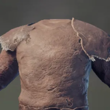 List of All Enshrouded Chest Armor - ESO-UI Wiki