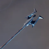 List of All Enshrouded Staffs - ESO-UI Wiki