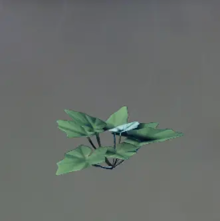 Complete List of All Enshrouded Seedlings and Crafting Recipes - ESO-UI ...