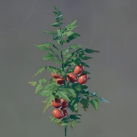 Enshrouded:Amber - ESO-UI Wiki